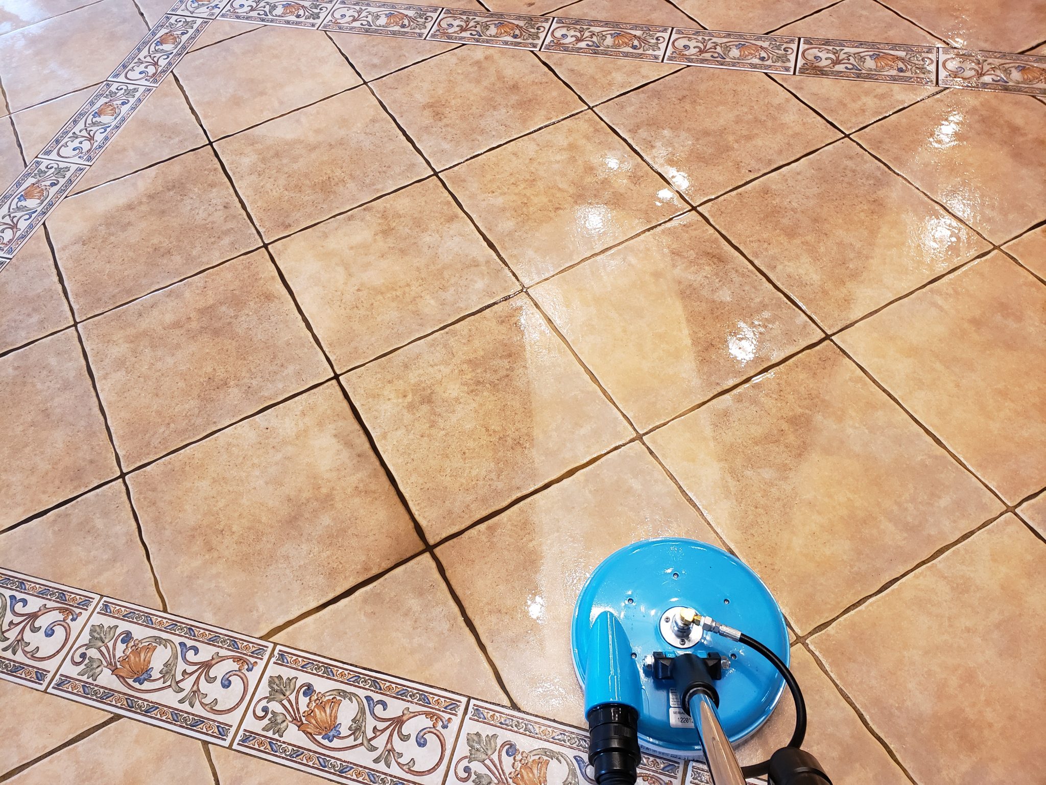 Sir Clean – Environmental Experts – Janitorial Remediation Mold and ...